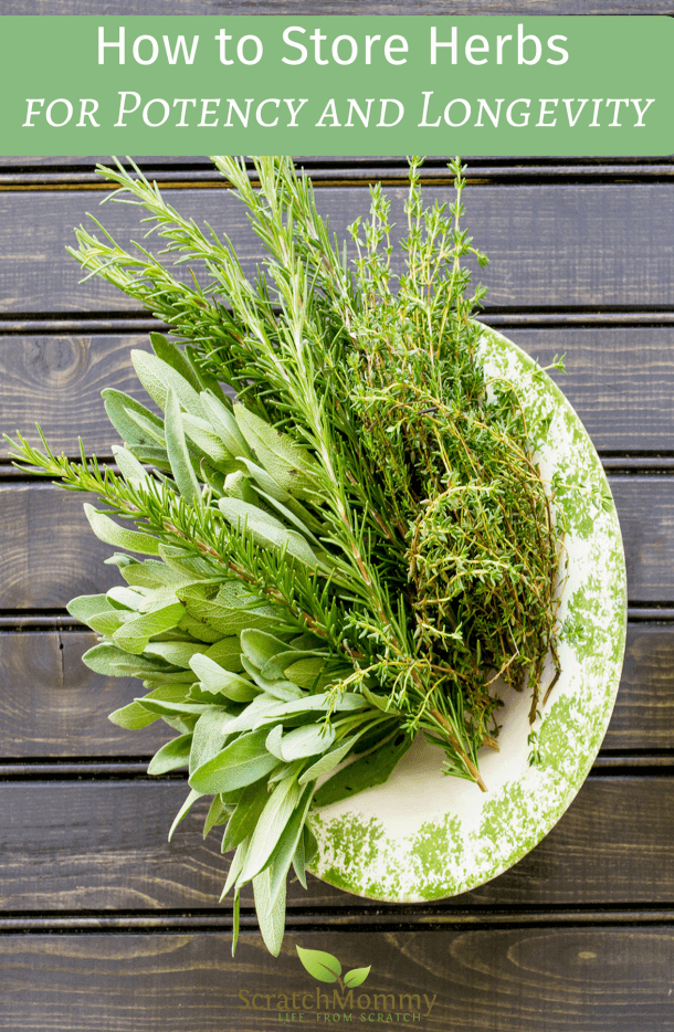 How to Store Herbs for Potency and Longevity